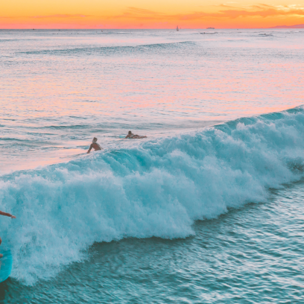 News - Surf Park Central